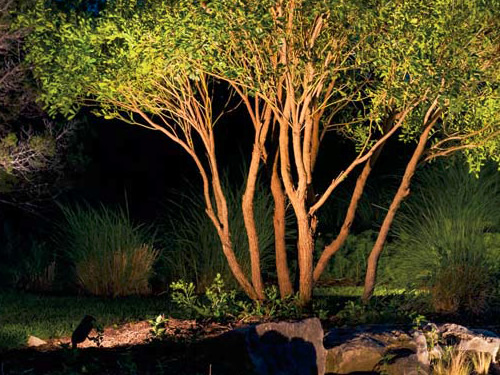 Landscape Lighting Beam Spread and Light Control: Light where you want ...