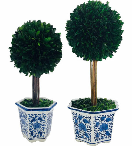 Galt International Preserved Boxwood Topiaries in Blue and White ...